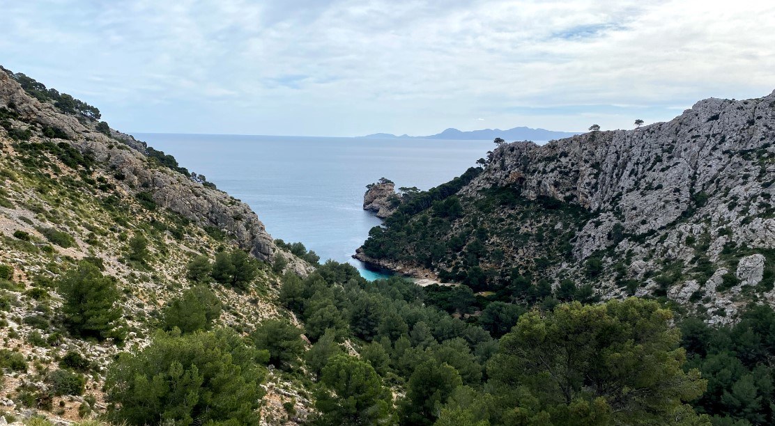 Cala Murta beach: what to do and what to see | Click-Mallorca.com