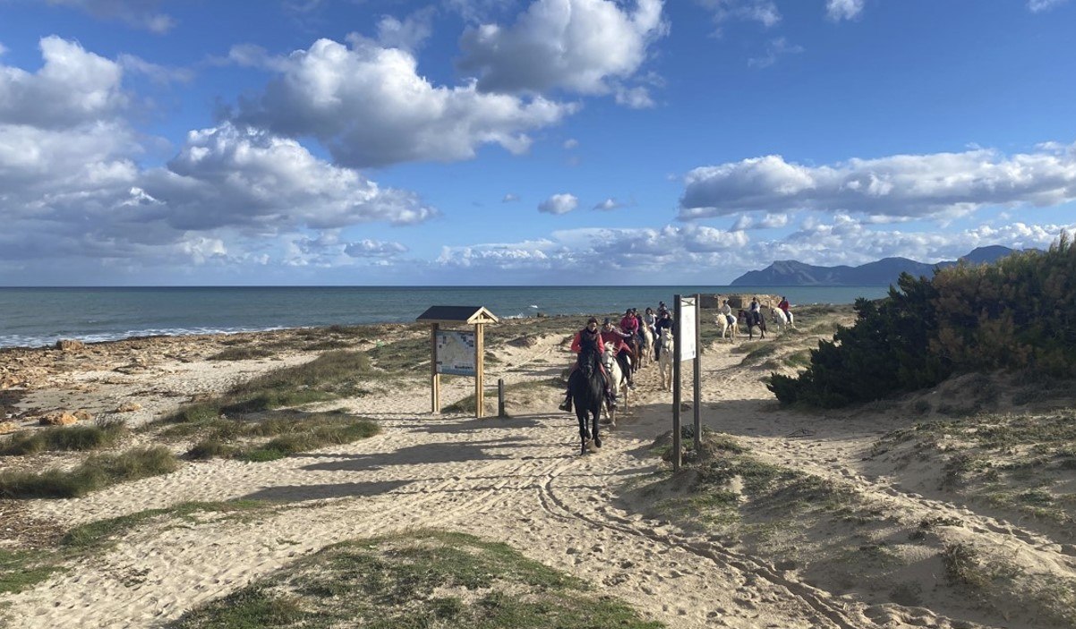 Can Picafort: guía de visita - click-mallorca.com